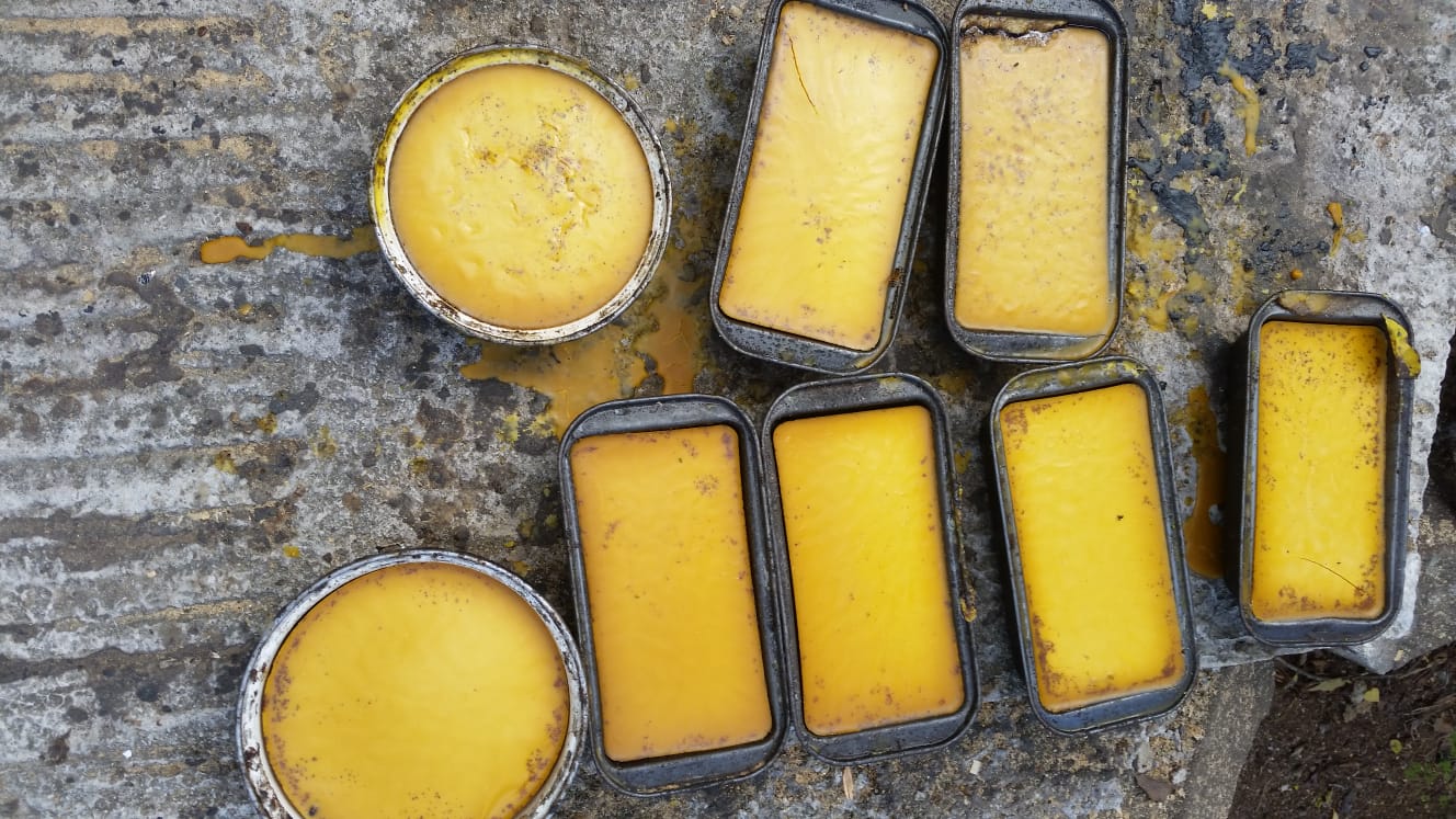 Ever wonder how bees make beeswax? – Isle de Nature